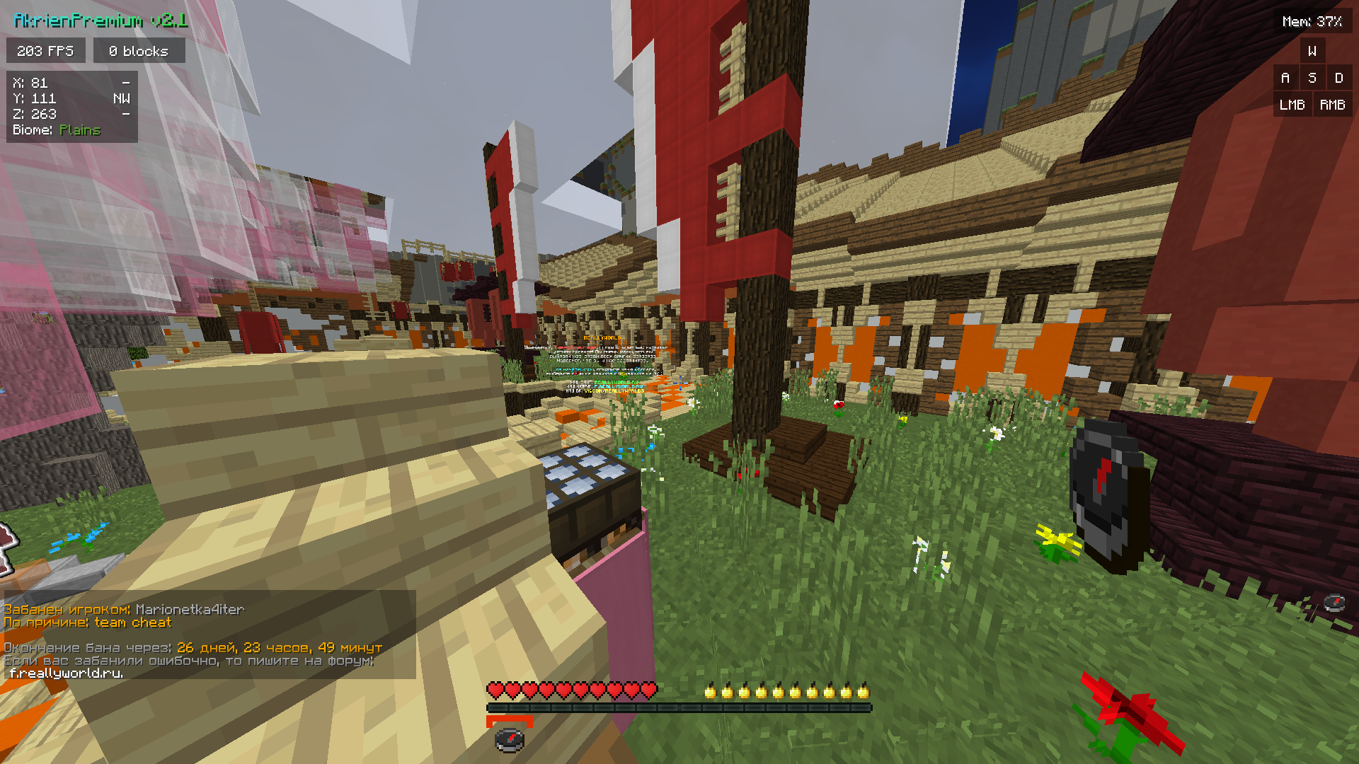 nekk. ban: team cheat - Жалобы на Администрацию. - ReallyWorld